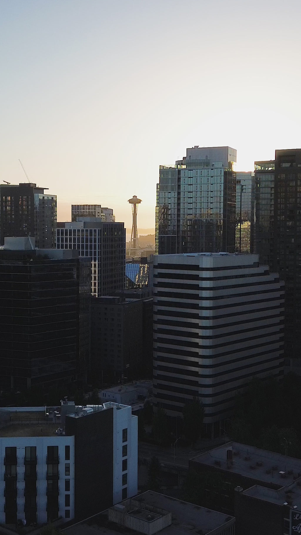 Mediums Collective Runway Show'25 Tickets – M E D I U M S